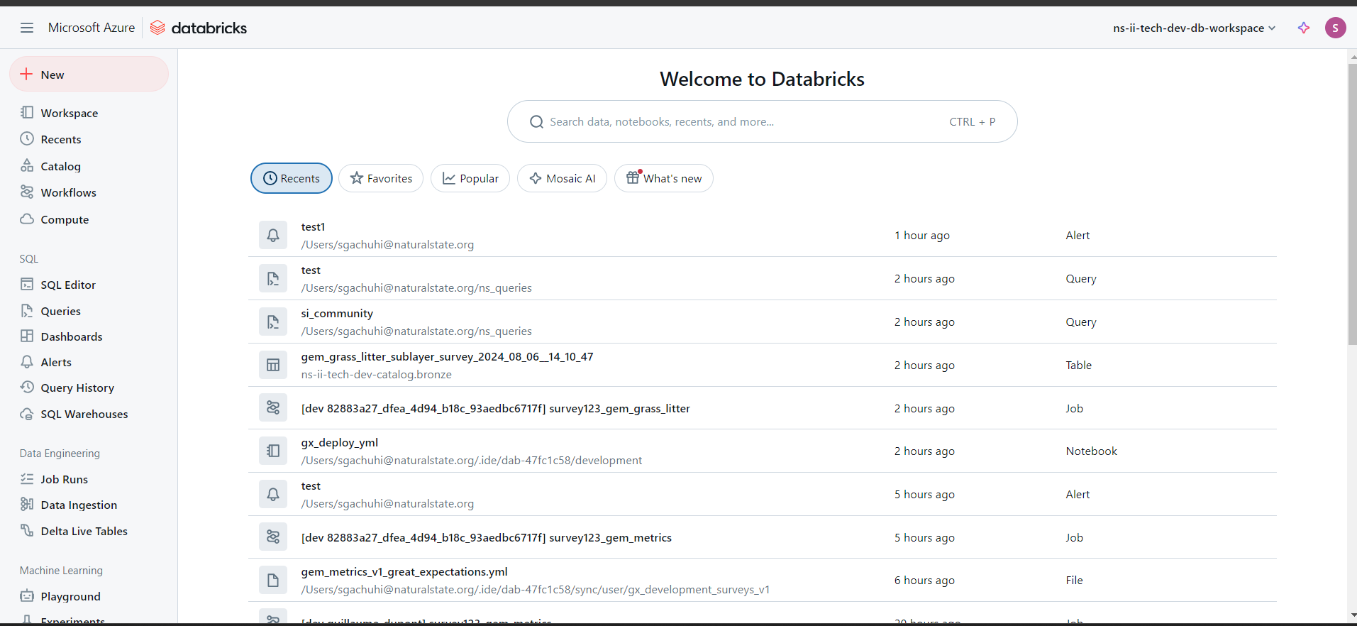 Databricks | Natural State Docs